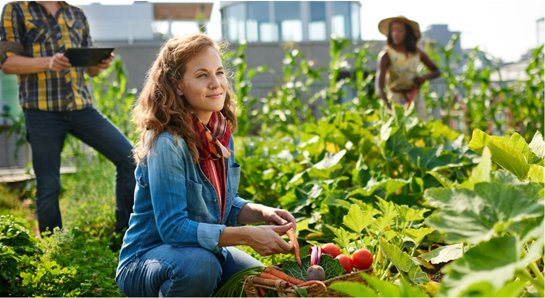 Home Organic Farm - THE OVEN FARM